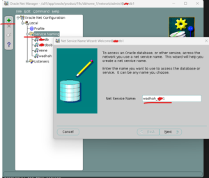 Add Oracle database service Naming (tnsnames.ora) 19c | Wadhah DAOUEHI