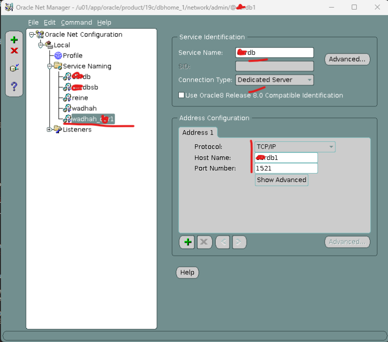 Add Oracle Database Service Naming Tnsnamesora 19c Wadhah Daouehi