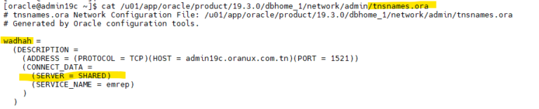 Oracle Database 19c Shared Server Mode Wadhah Daouehi